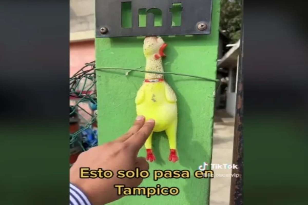 Timbre de pollo de plástico en heladería de Tampico
