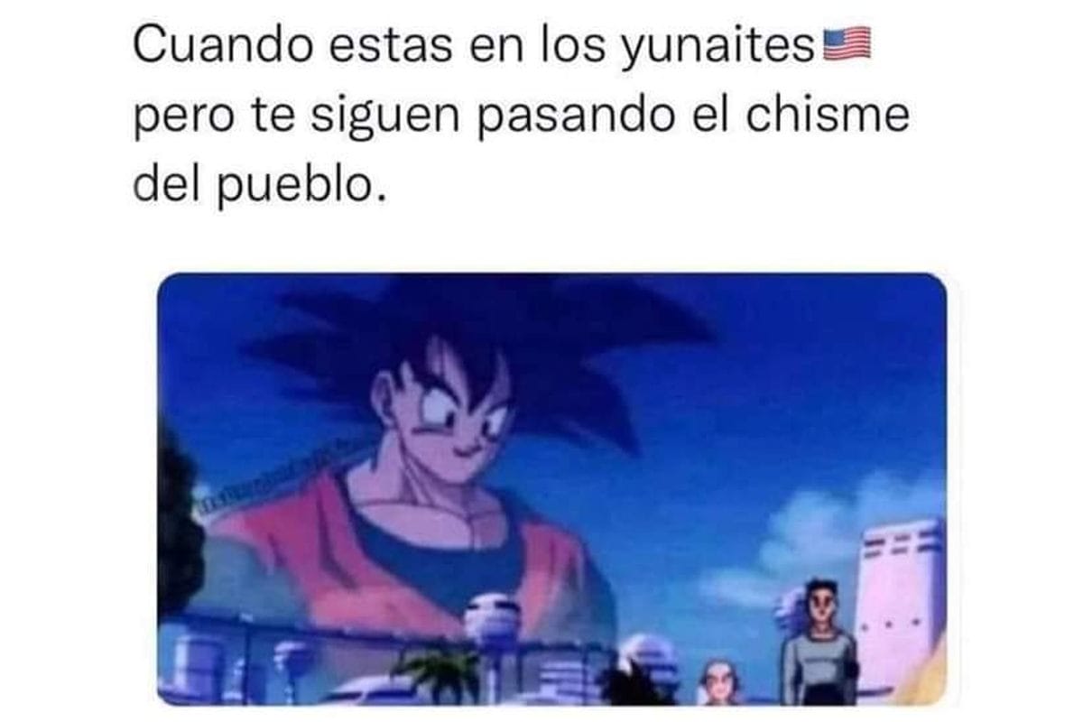 Memes de Conexión Migrante, ríe con nosotros toda la semana