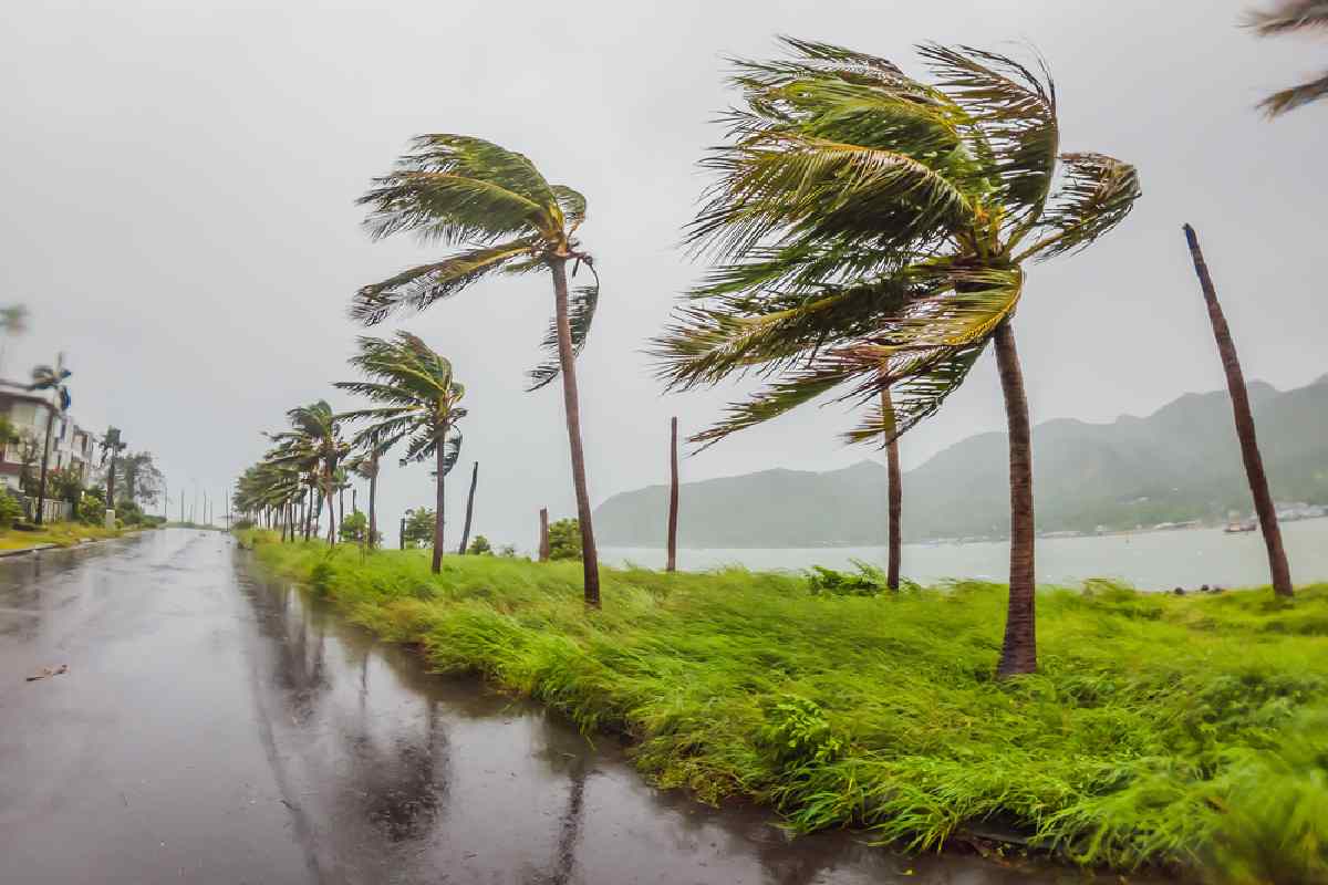 5 consejos para protejerte ante las tormentas tropicales y huracanes