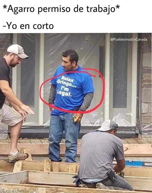 Ríe con los mejores memes de la semana en Conexión Migrante