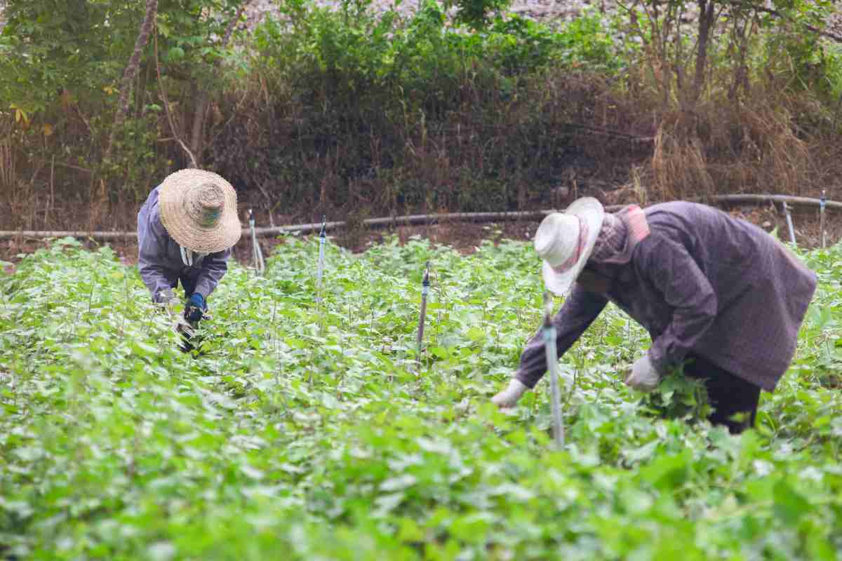 %title% %page% %sep%