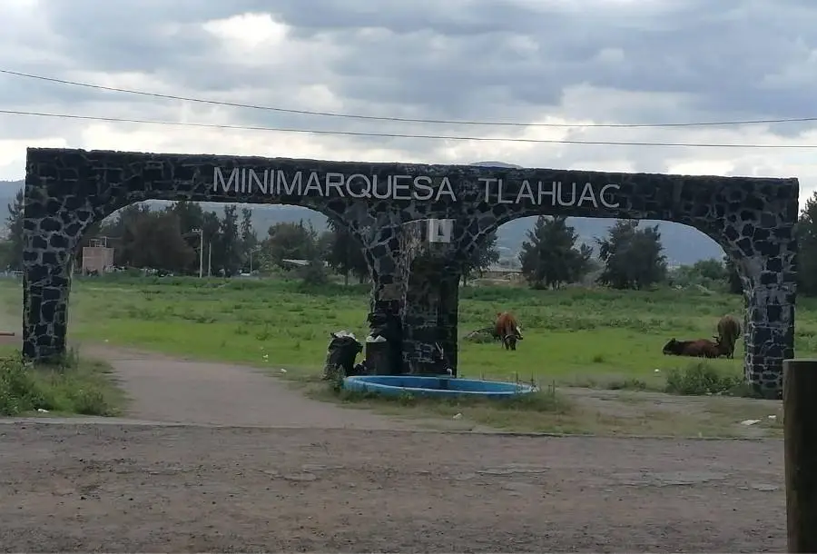 COMAR en Tláhuac no cerrará, pero ya no tramitará solicitudes de ...