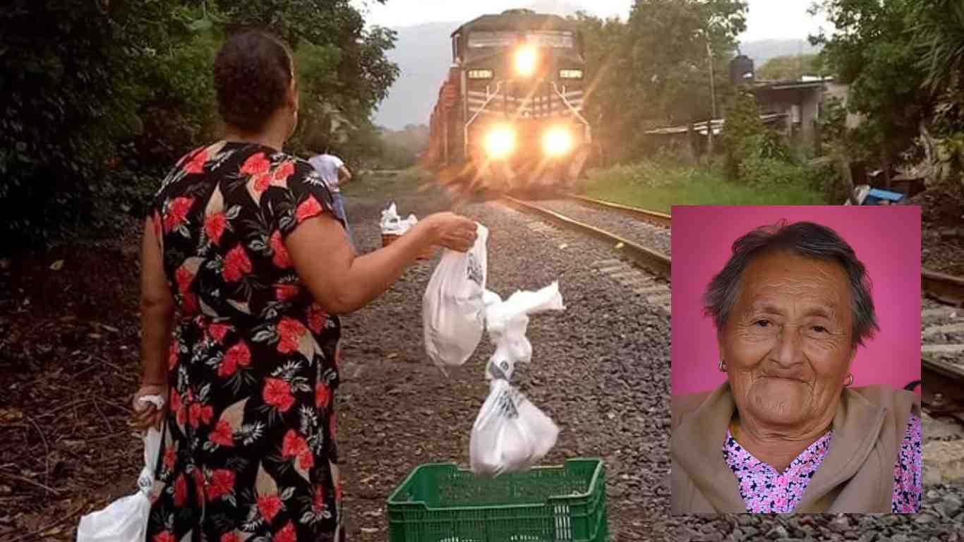 Leonila Vázquez; fundadora de "Las Patronas" de Veracruz cumple 88 años ...