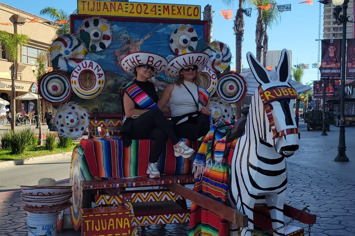 El burro-cebra en Tijuana ya no es lo que era