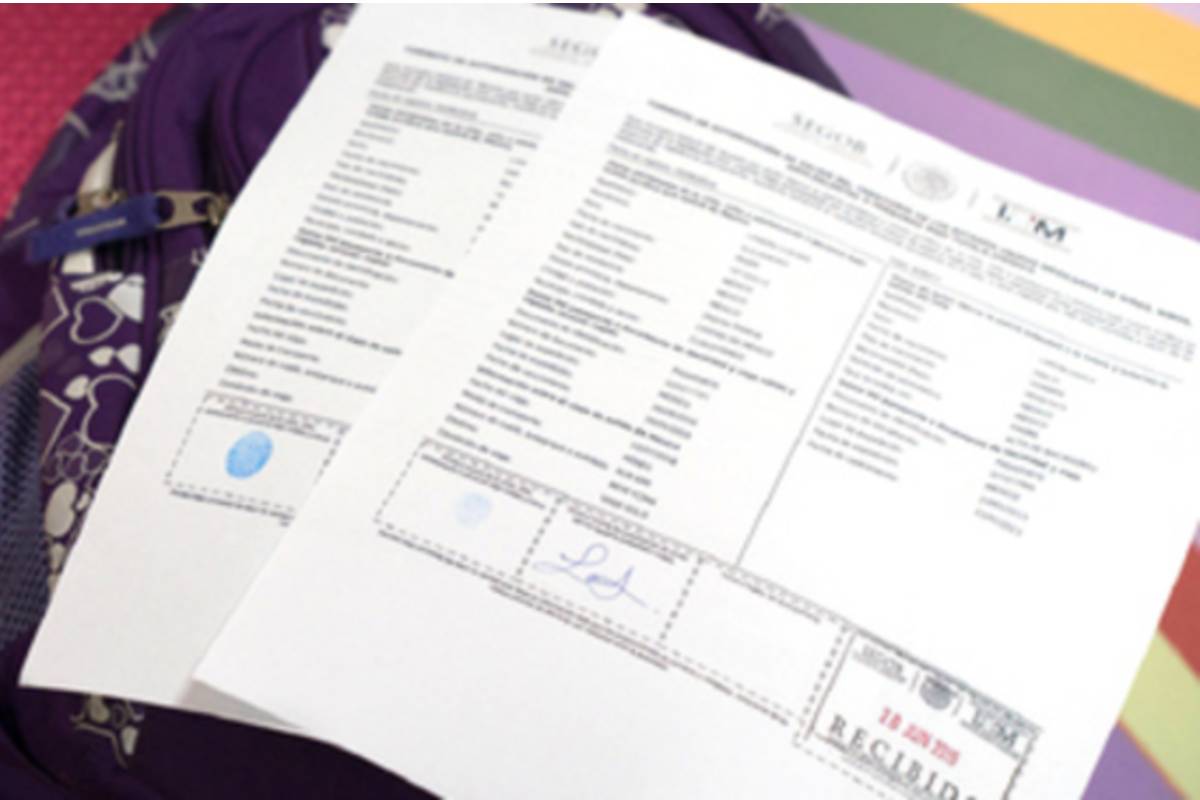 Formato SAM del INM: cómo tramitar autorización para menores que viajan ...